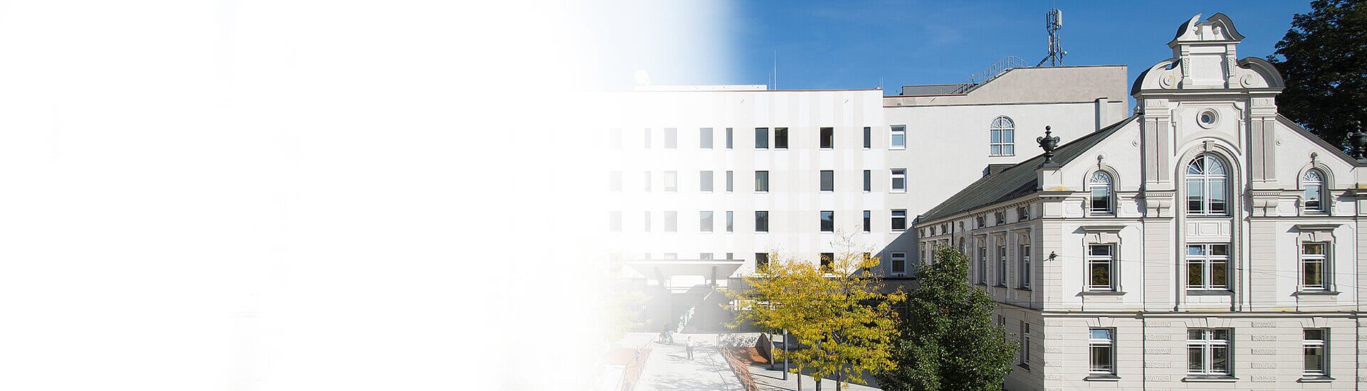 Hessing Stiftung stellt sich vor - alle Informationen für Interessierte ...